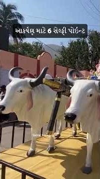 Mahashivratri Mela 2026 | જૂનાગઢ ભવનાથ મેળા વ્યવસ્થા | YatraDham.Org