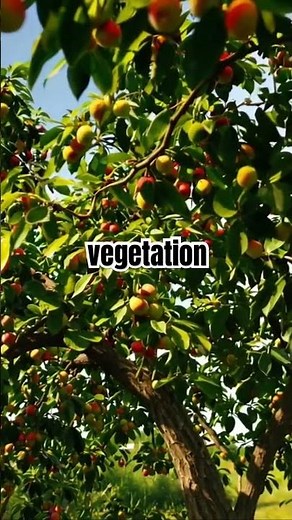 Genesis 1:11 | Bible Verse