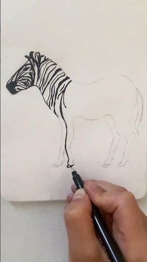 How to draw a zebra 🦓 step by step for beginners #zebra #animals