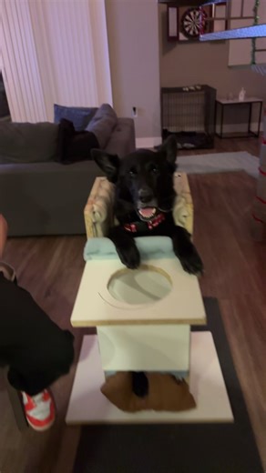 The Impact of Myasthenia Gravis on Daily Life