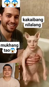 Mukhang tao kakaibang nilalang | Hener Glua