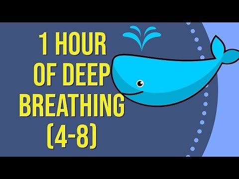 Deep Breathing Animation (1 Hour) - inhale 4 seconds, exhale 8 seconds