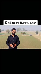 Wheat yield | Lovepreet Bhullar