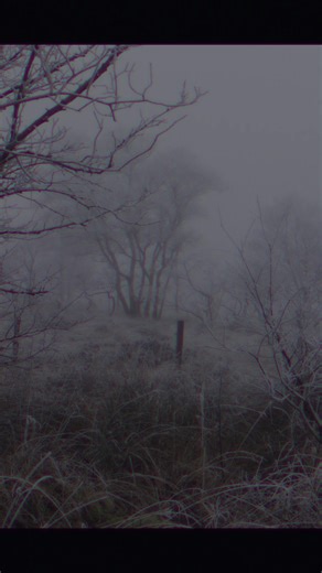 chapter 14: sparrow. READ FORWARDS BECKON RENOUND ON AO3!!! Link in comments and my bio xx #ao3 #hungergames #fanfic #sparrow #fyp