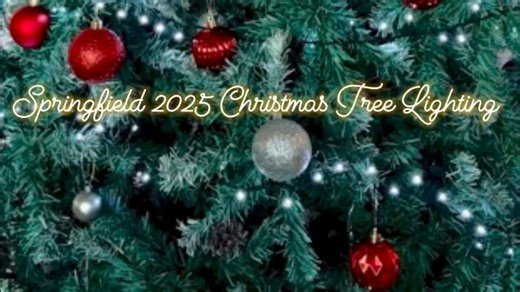 Springfield Primary School on Reels