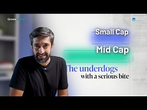 What 6 Fund Managers Told Us About Small & Mid-caps