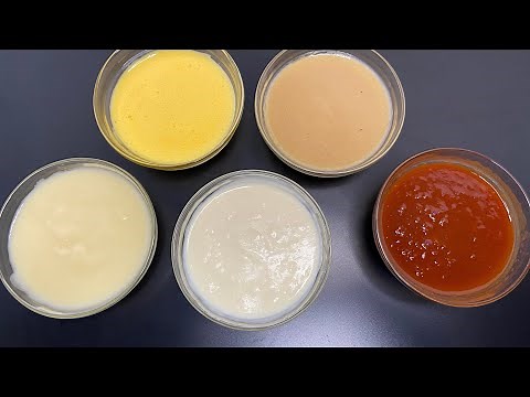 5 Mother Sauces / basic and classical cuisine