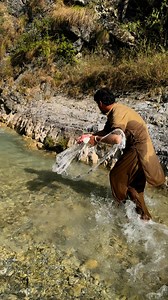Mastering the art of net fishing in fresh stream #streamfishing #fishingadventures #netfishing #nature | Its Fishing Time