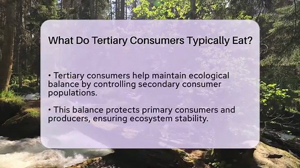 What Do Tertiary Consumers Typically Eat? - Ecosystem Essentials
