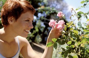 Uses for Fish Oil in the Garden