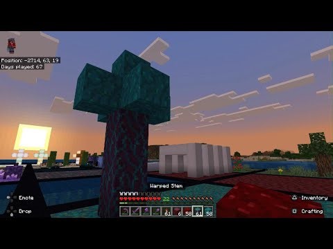 Minecraft survival series esp 30 working on my big project part 3