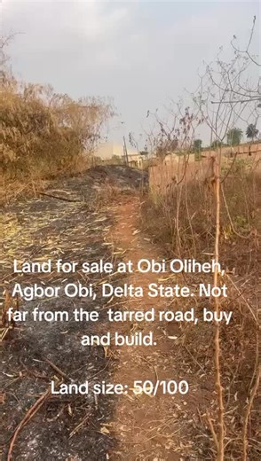 Land for sale at Obi Oliheh, Agbor Obi, Delta State. Not far from the tarred road, buy and build. Land size: 50/100 Dm/call/WhatsApp 08161421632 08129099386
