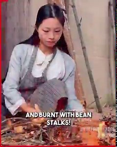 8.8M views · 7.5K reactions | Amazing tree sap cooking skills in the village! | The Food Ranger | Facebook
