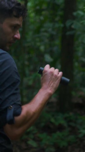 Discovering the Fascinating Decoy Spider