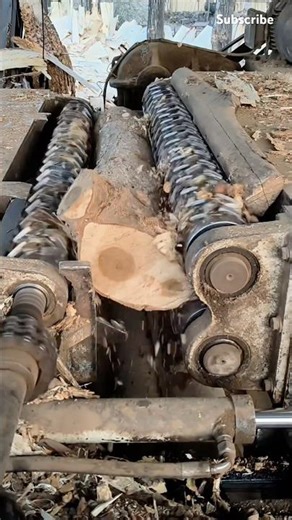 The peeling process of strange logs #machine #shorts