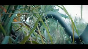 Monster Python Trailer