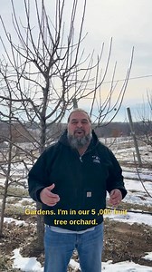5.7K views · 31 reactions | Our Bare Root fruit trees are now available for pre-order! Listen to Botanical explain why bare root is a fantastic option for orcharding affordably and efficiently. Learn more about Bare Root trees here  https://info.colonialgardenskc.com/wholesale-bare-root-trees | Colonial Gardens | Facebook