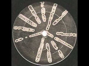 Basic Channel - Phylyps Trak II/II
