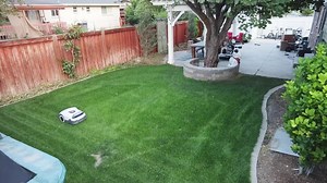 🔖Save time and revolutionize your lawn care with the intelligent, wireless robot lawn mower. 🌱 Plug-and-Play 🌱 RTK QuadVision 🌱 Auto-recharging 🌱 Multi-zone Management 🌱 Obstacle Avoidance 🌱 AI-powered lawn care based on weather conditions Anthbot Genie now at an unbeatable price! 👇👇 | ANTHBOT