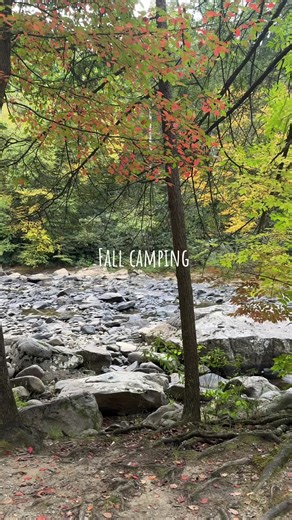 Your sign to book a fall camping trip #camping #audrastatepark #fall
