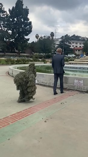 He really fell into the water 😳 #pranks #GonnaKnow #getthelook