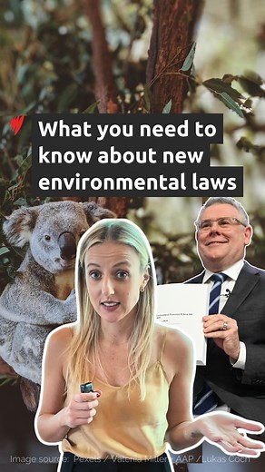Labor has set itself a Christmas deadline to deliver its new environmental laws, after they passed the lower house on Thursday. They're dubbed the biggest reforms since 1999 and could see significant protections against pollution and give the Environment Minister Murray Watt new powers. Here's what you need to know about the reforms in 90 seconds. For the latest news, visit https://bit.ly/3qBhrgi | SBS News