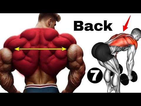 7 Best Back Workouts at the Gym | Build a Bigger & Stronger Back