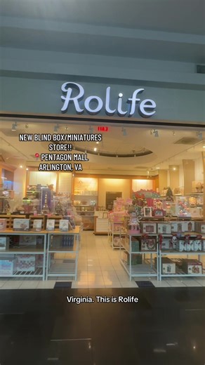 LOVE IT!! @rolife_usa #blindbox #blindboxes | blind box