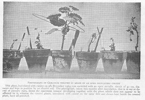 Georges Lakhovsky - Alchetron, The Free Social Encyclopedia