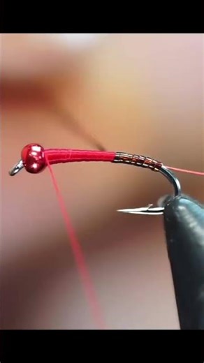 BCFLYGUYS Top Stillwater Fly Patterns: Brown Holo Bloodworm #fishing #flytying #troutfly #chironomid