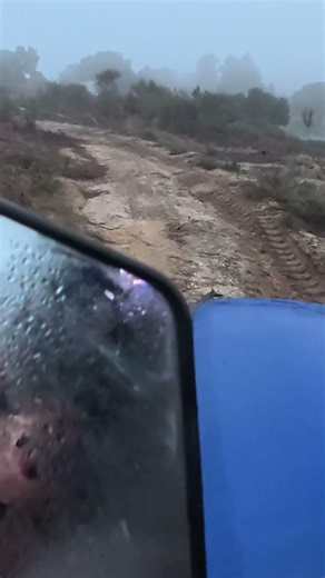 Serene misty morning to start the day on a good note