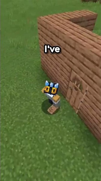 Minecraft Door Tier List #shorts