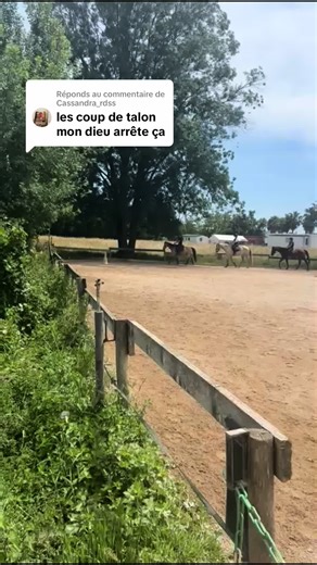 Techniques Douces pour Travailler avec les Chevaux