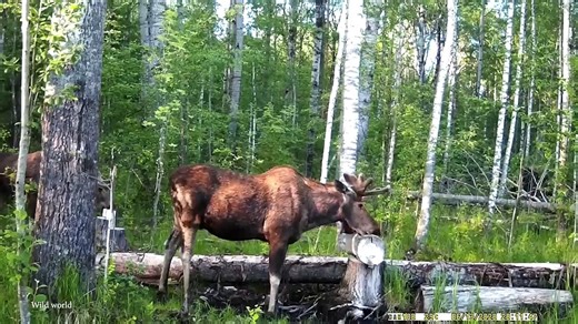 15 MOST Unusual Ice Formations Ever Found