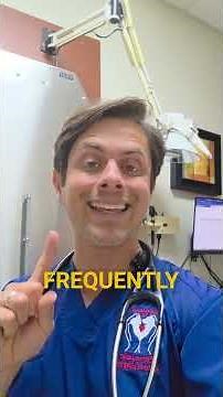 How Often Can You Bathe Your Dog? | Vet Explains