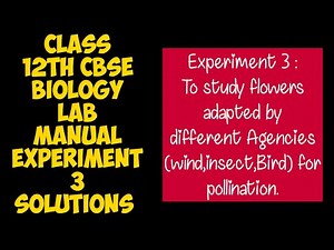 CLASS 12TH BIOLOGY LAB MANUAL EXPERIMENT 3 SOLUTIONS