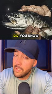 Fish out of water dies what about you.. #fish #death #jesus #god #viral | David Purther