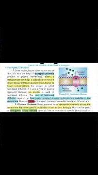 Facilitated Diffusion #celltransport #mechanismofcelltransport #11thclassbiology#biology #mdcat#neet