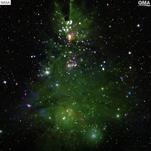 6.3K views · 301 reactions | NASA released captivating images of NGC 2264, a gathering of young stars resembling a Christmas tree, situated 2,500 light-years away in our Milky Way. ✨ https://bit.ly/3DT2Sbz | Good Morning America | Facebook