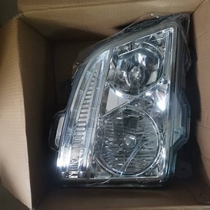 [Hot Item] Wg9925721011 HOWO Headlights HOWO Tx Truck Accessories
