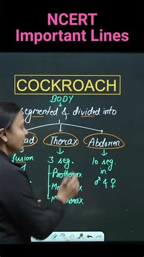 Body Structure of COCKROACH | Biology NEET | NCERT important lines for NEET | #medicalentrance #neet