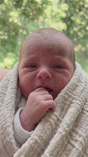 Why Human Babies Are Useless 👶 #science #humans #didyouknow #fyp #viral