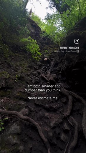 Life with Scroggie (@scroggie)’s videos with original sound - Life with Scroggie