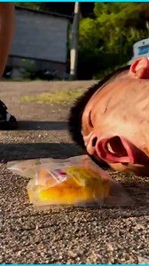 Don't turn a blind eye to those who are not as fortunate as you | Feedy Animals