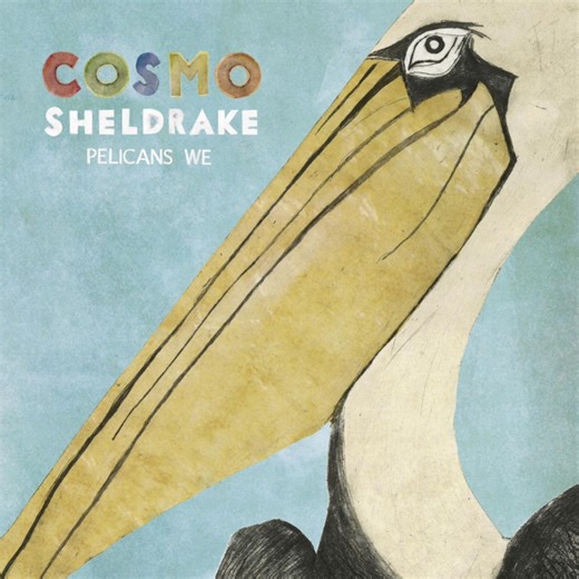 Cosmo Sheldrake - The fly