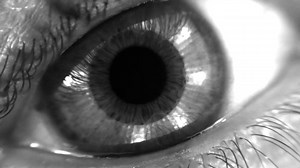 Insight PhoneScope 3D