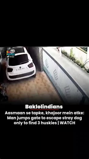 Baklol Indians on Instagram: "Follow @baklol.indians for more‼️- A hilarious CCTV clip is going viral that perfectly defines the phrase "out of the frying pan and into the fire." The video shows a man standing outside a residential gate, looking visibly nervous as he scans the street. Suddenly, a stray dog charges toward him, and in a panic, the man quickly climbs over the gate to save himself. Just as he takes a sigh of relief on the other side, he is met with a massive surprise—three curious H