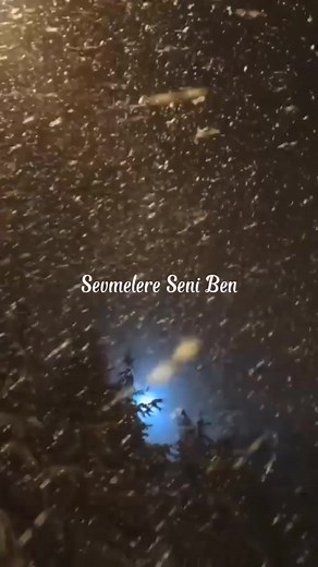 Captivating Nighttime Snowfall in a Winter Wonderland