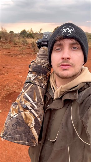 297K views · 93K reactions | African Experiences 女 - #wildlife #nature #animals #lion #safari #nikon #nikonz8 #africa #southafrica | Michele Bavassano | Facebook