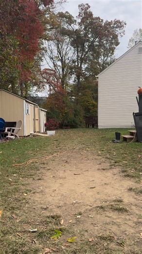 18K views · 230 reactions | Yorkie Power 藍This is Bentley my sister’s 5 year old teacup yorkie, never been trained but we’re going to work with him while he’s here. Building engagement and working on some reactivity as well as manners.This should be fun subscribe to our Patreon to see Bentley’s journey 酪#bearkennels #itsdeeperthandogs #patreon | Bear Kennels | Facebook